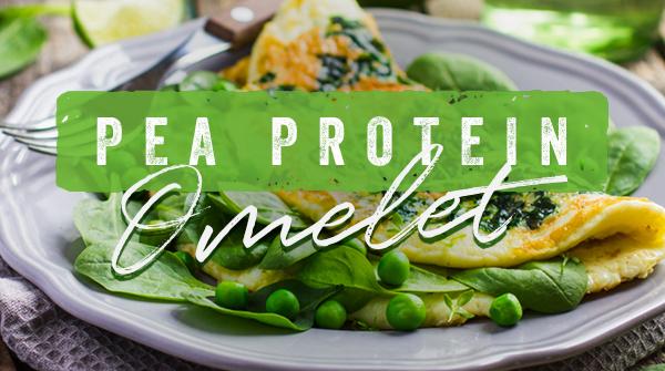 Pea Protein Omelet - NaturesPlus
